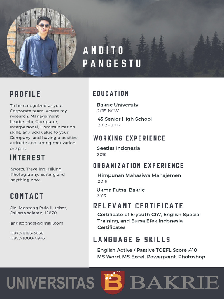 CV Andito Pangestu | PDF