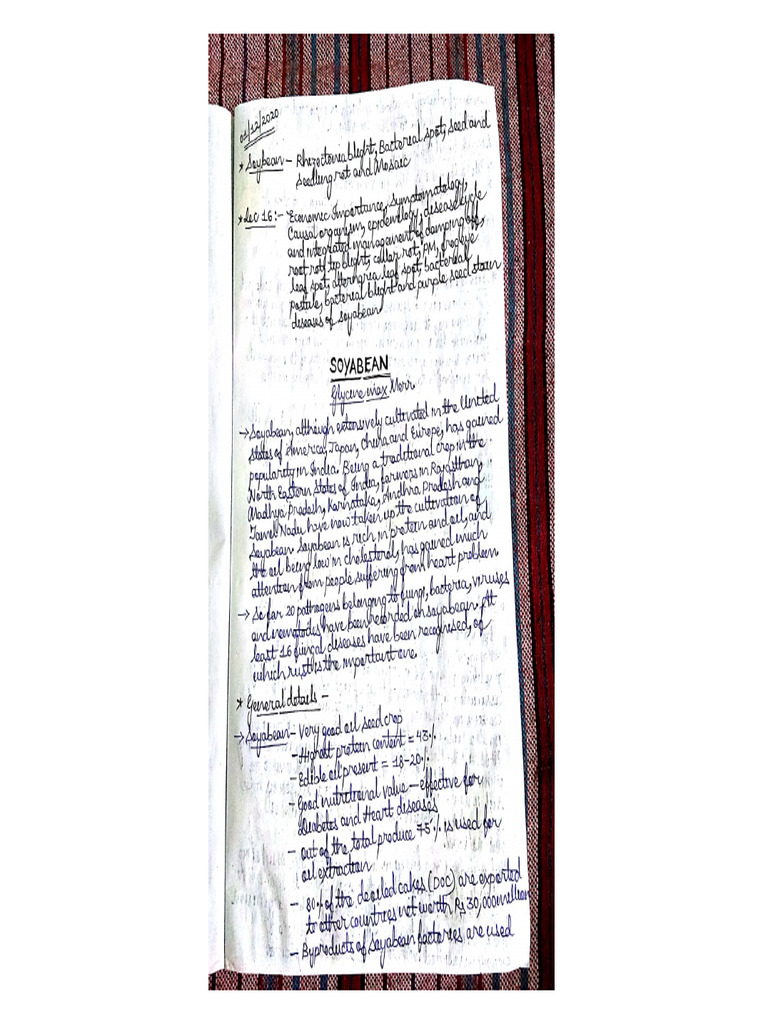 PPT-313 (Ananya) Notes | PDF