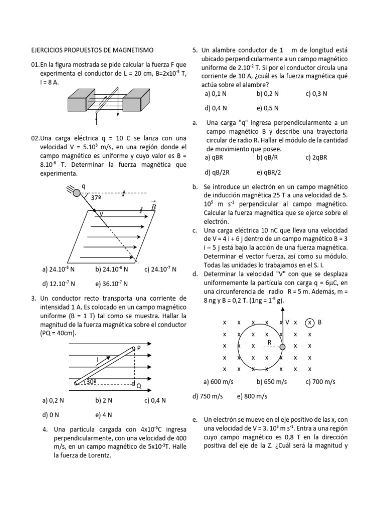 EJERCICIOS Magnetismo | PDF | Campo magnético | Inducción electromagnética