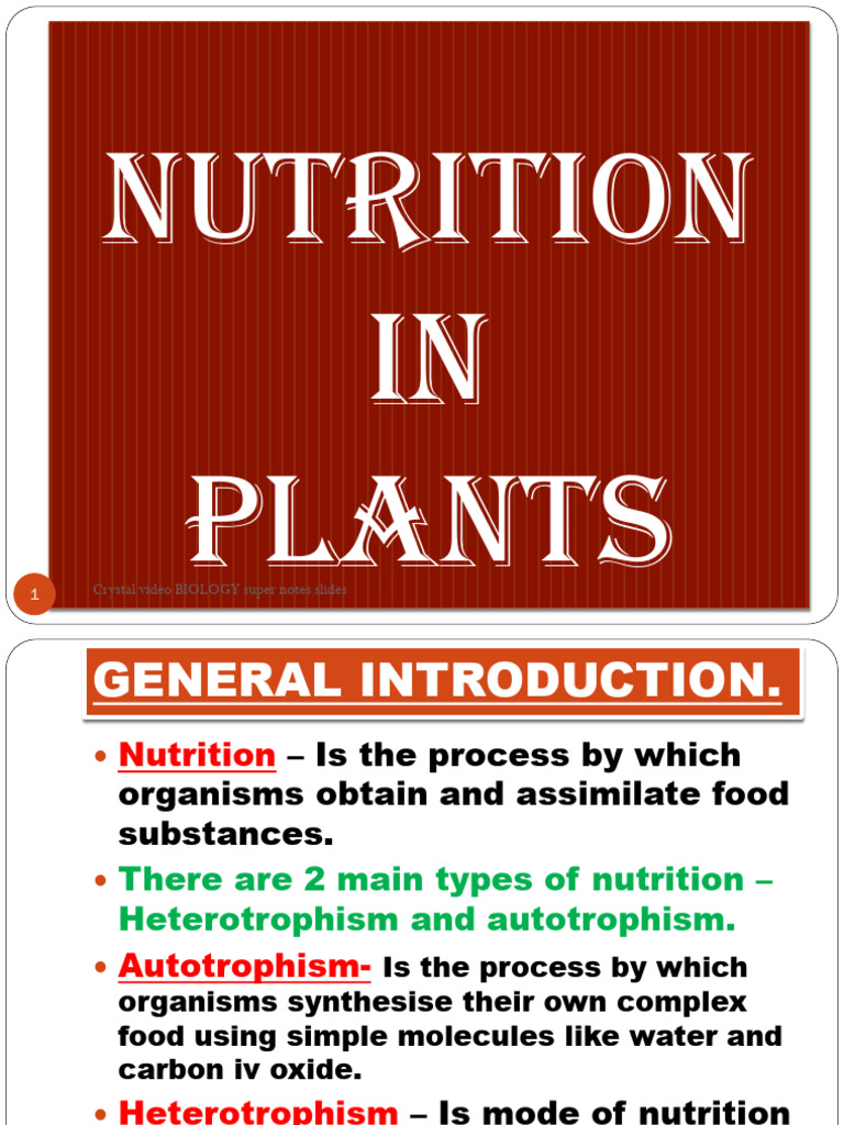 Biology Super Notes Form 1 - Nutrition in Plants Power Point Notes ...
