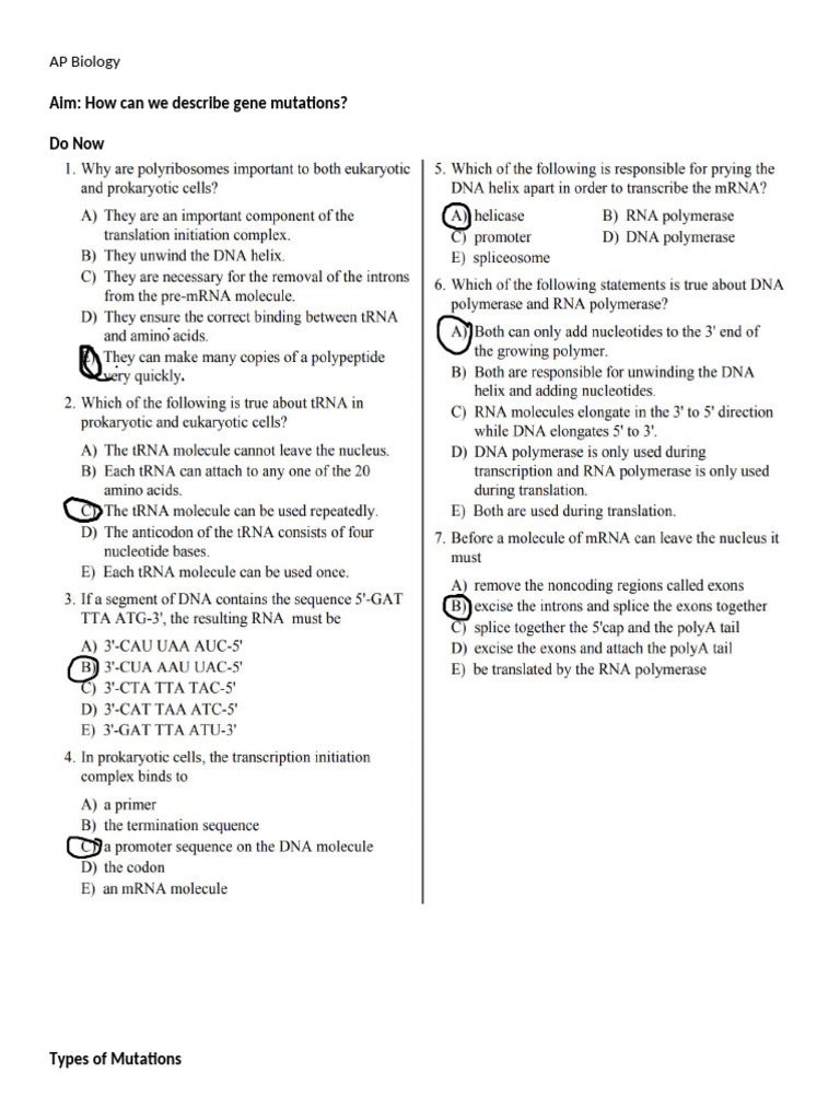 Gene Mutations Worksheet | PDF | Point Mutation | Genetic Code