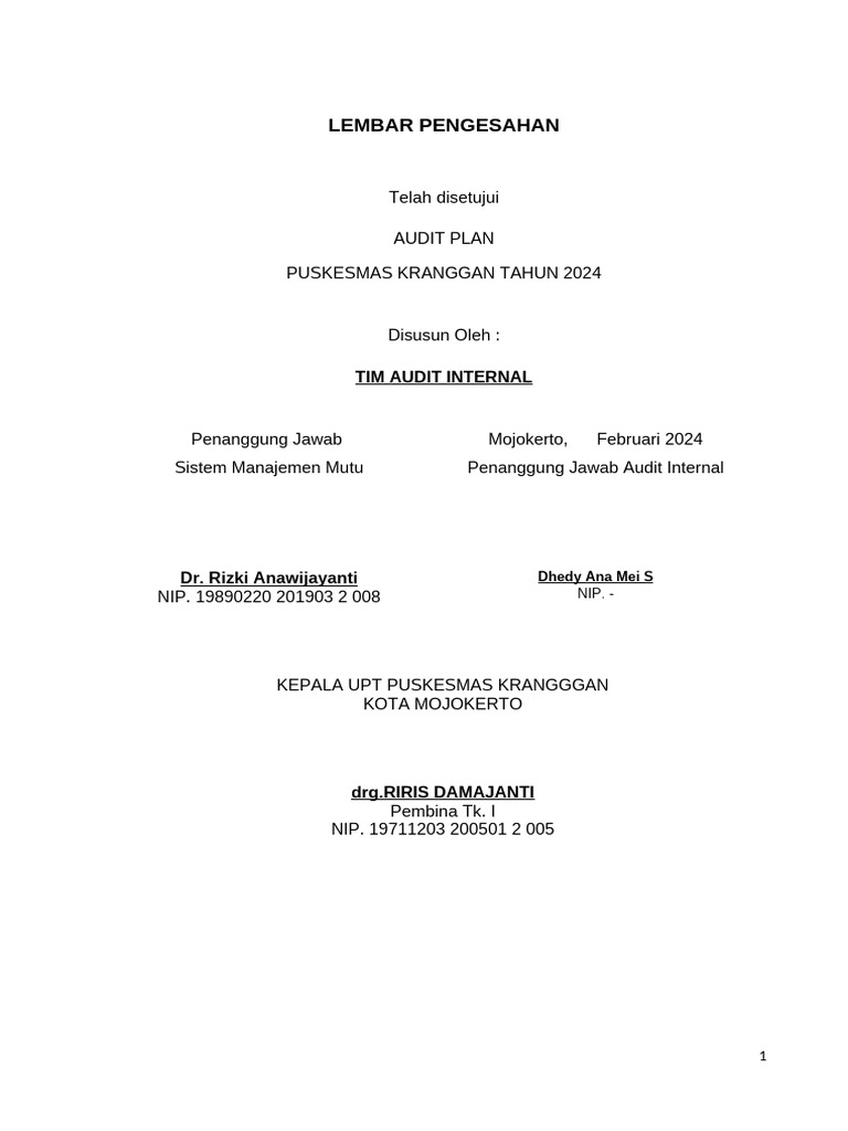 Audit Plan 2024 | PDF