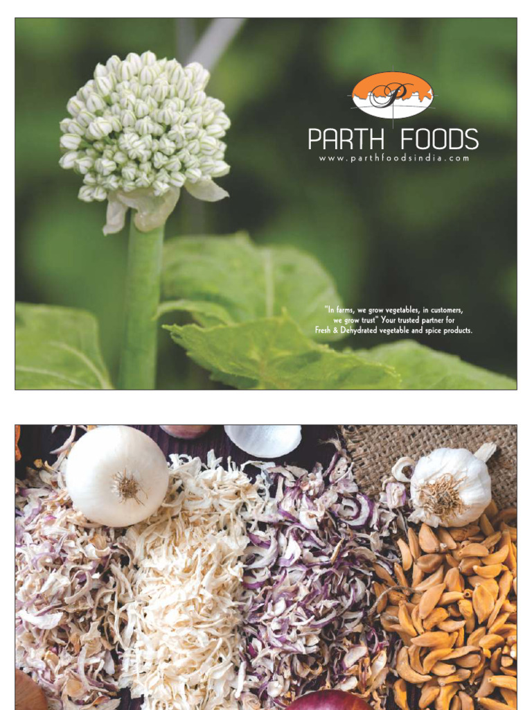 Parth Foods Brochure | PDF