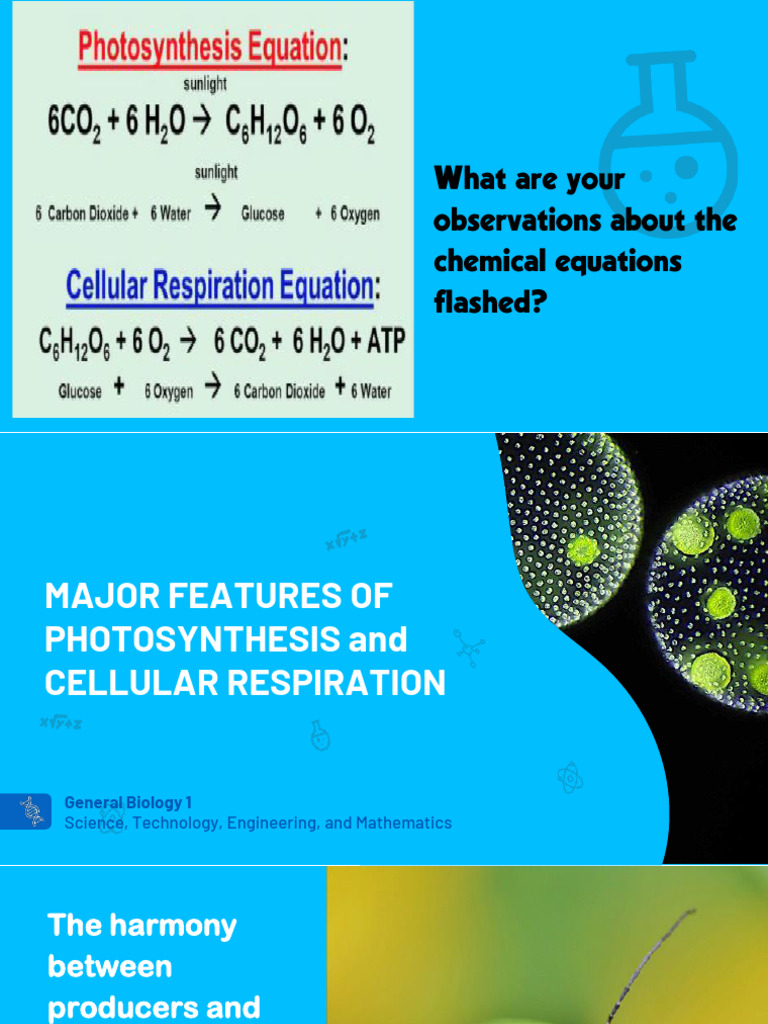 Intro To Photosynthesis and Cell Respiration 2 | PDF | Photosynthesis ...