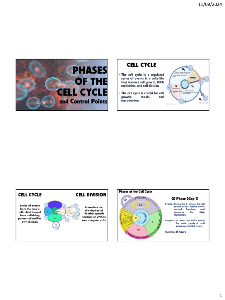 Cell Cycle Mitosis Meiosis | PDF | Mitosis | Meiosis