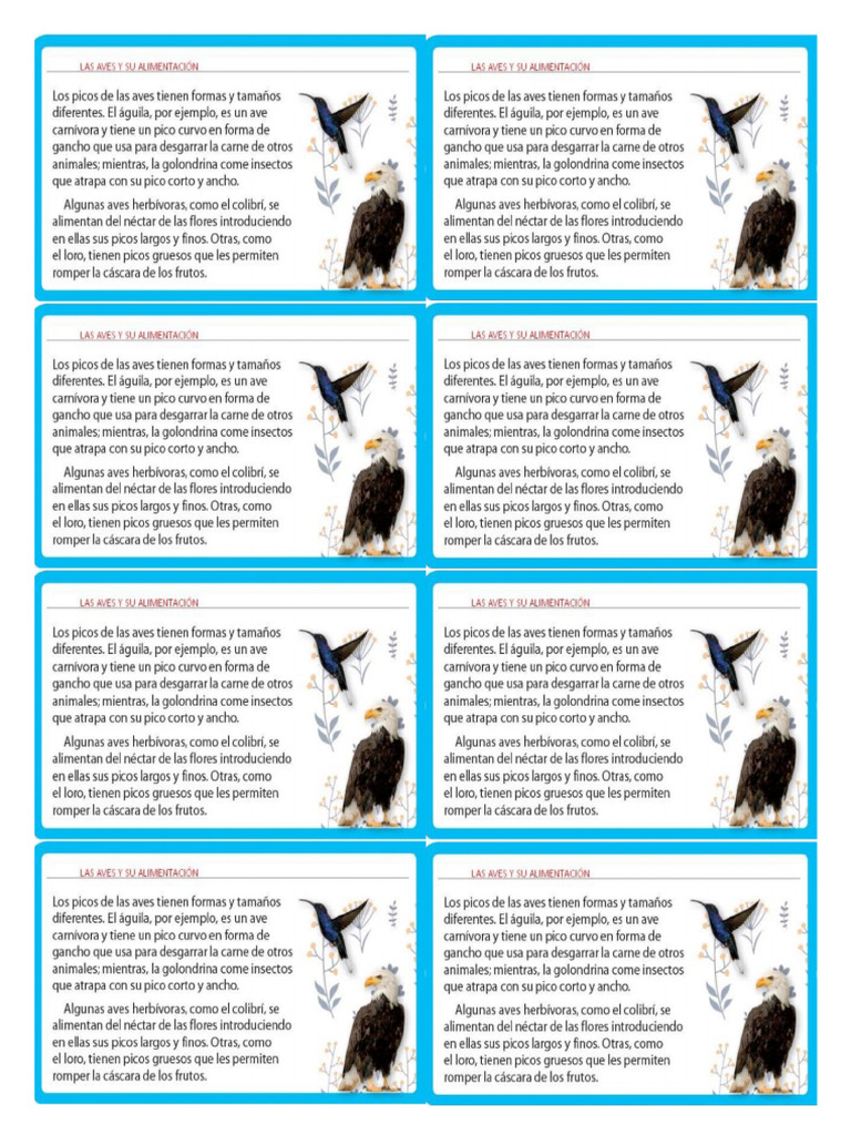 Las Aves | PDF