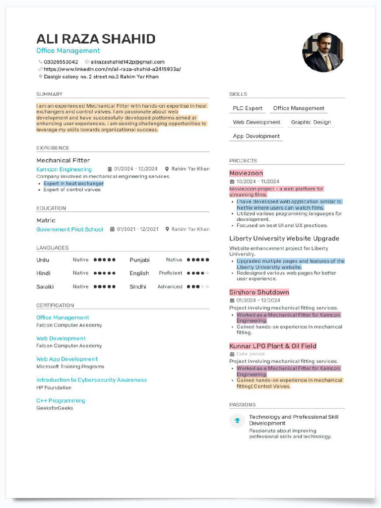 Ali Raza Shahid | PDF