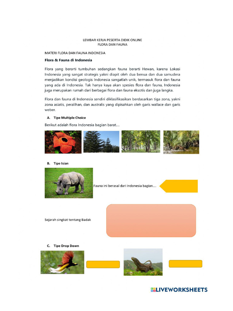 Worksheet Flora Fauna | PDF