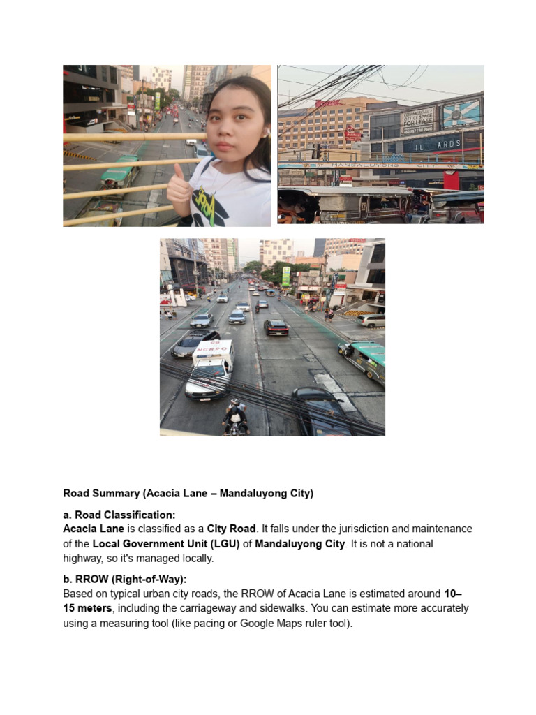 Road Classification and Road Safety Barrier Systems | PDF