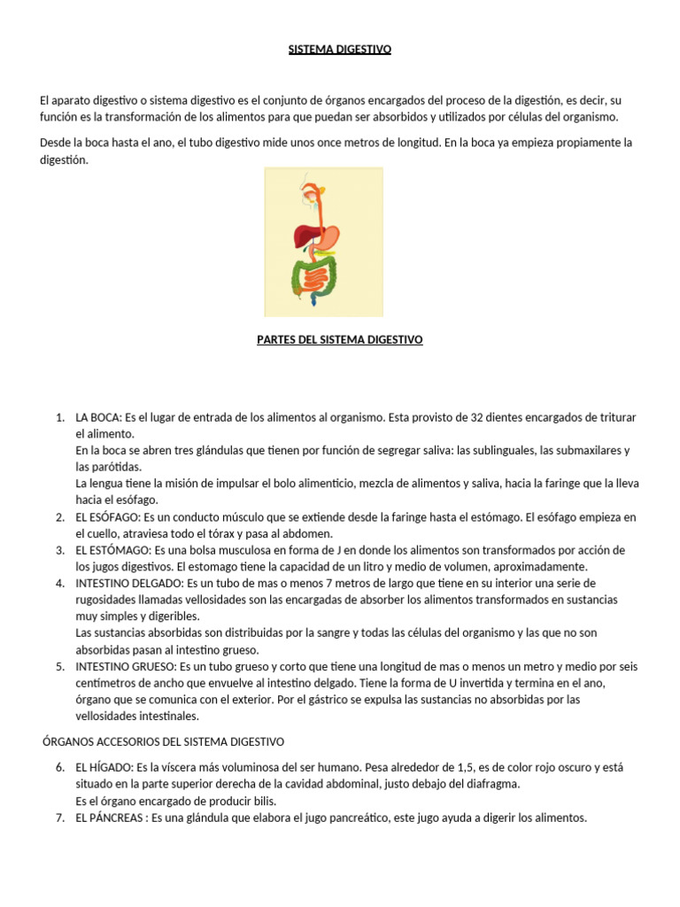 Sistema Digestivo | PDF | Sistema digestivo humano | Digestión