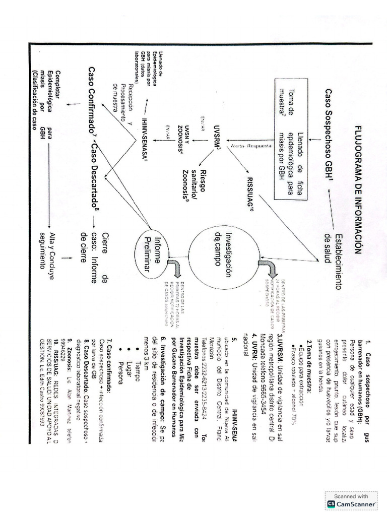 Flujograma de Notificación Caso Sospecho | PDF