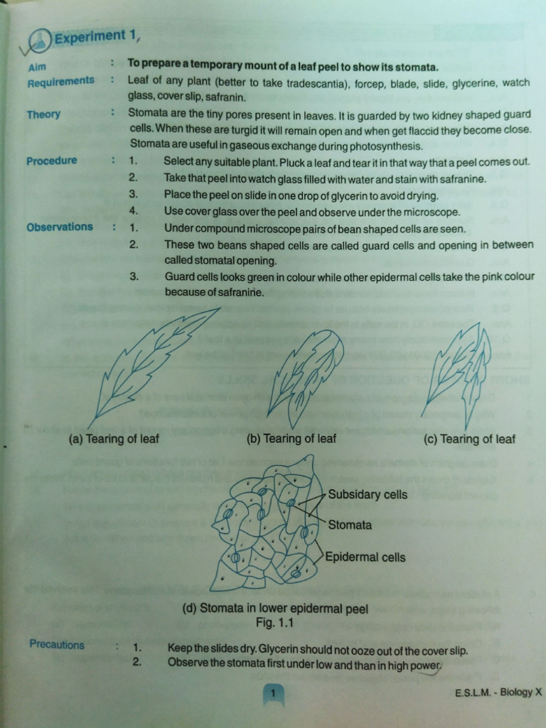Biology Practical Class 10 | PDF