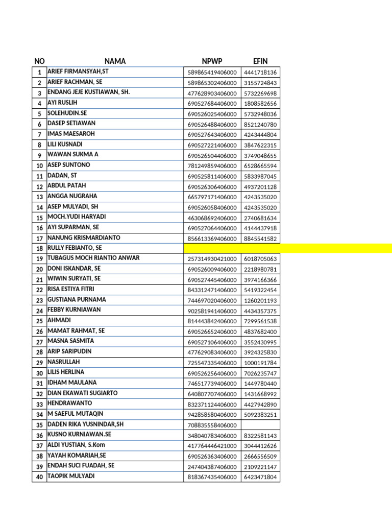Data Efin Baru | PDF