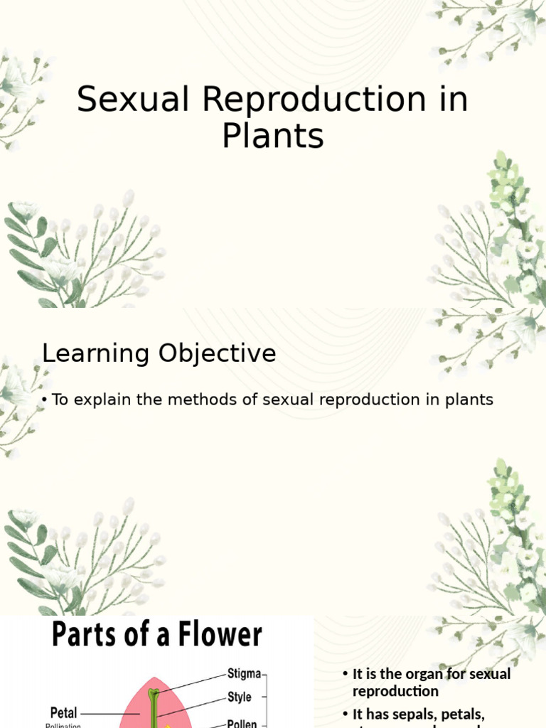Understanding Plant Sexual Reproduction | PDF | Flowers | Sexual ...