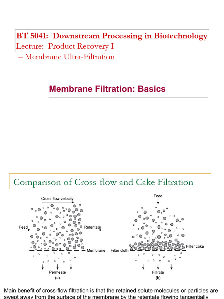 BT5041-2025 - 7. Membrane Filtration Basics | PDF | Membrane | Membrane ...