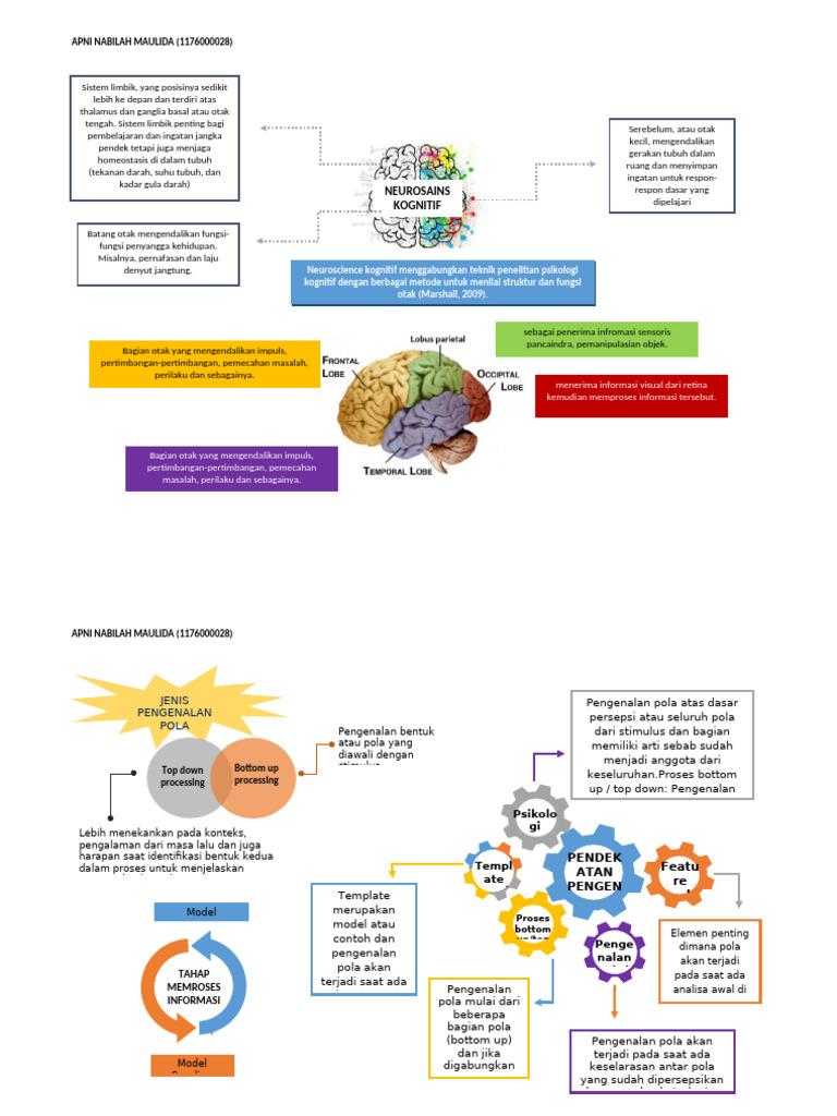 Mindmap Sejarah, Neuro Kognitif Dan Pola | PDF