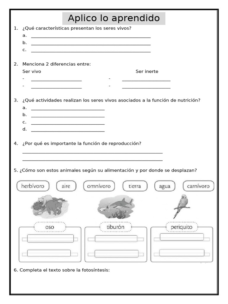 Aplico Lo Aprendido - Cuarto Grado | PDF