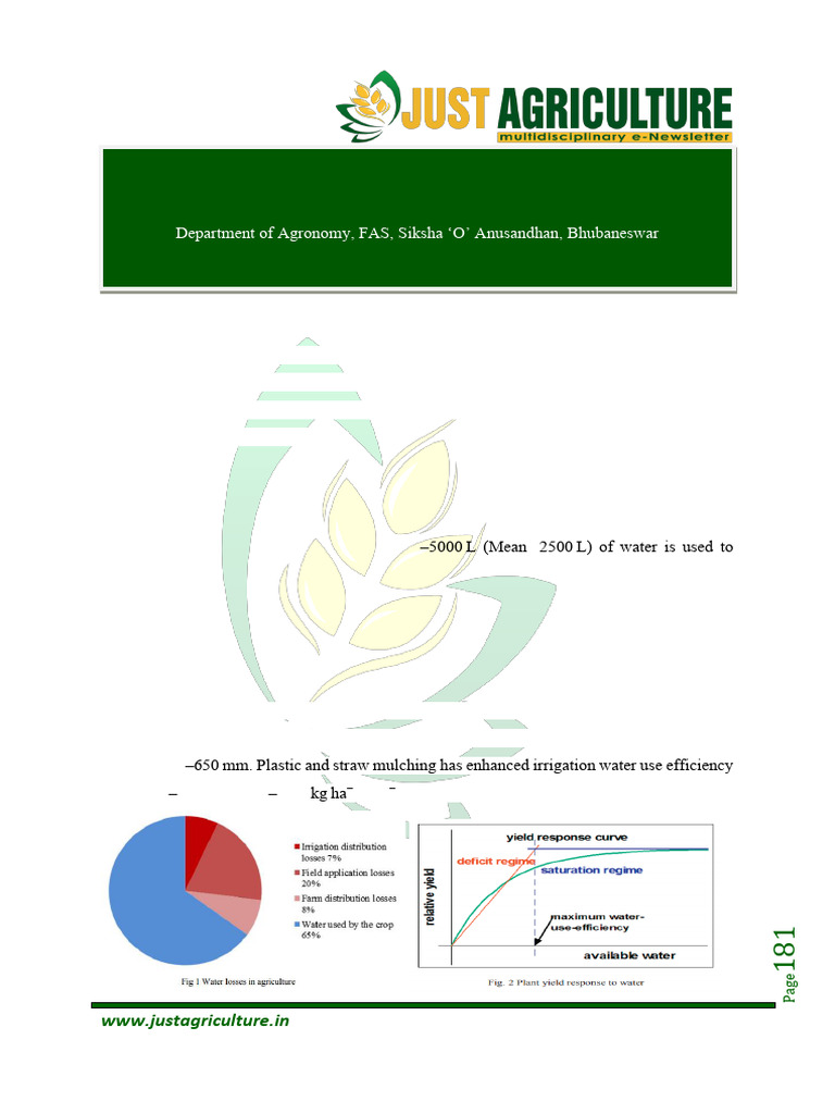 Sustainable Water Management in Cereals | PDF | Irrigation | Rice
