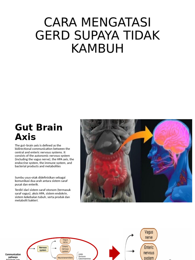 Cara Atasi GERD dan Kesehatan Usus | PDF