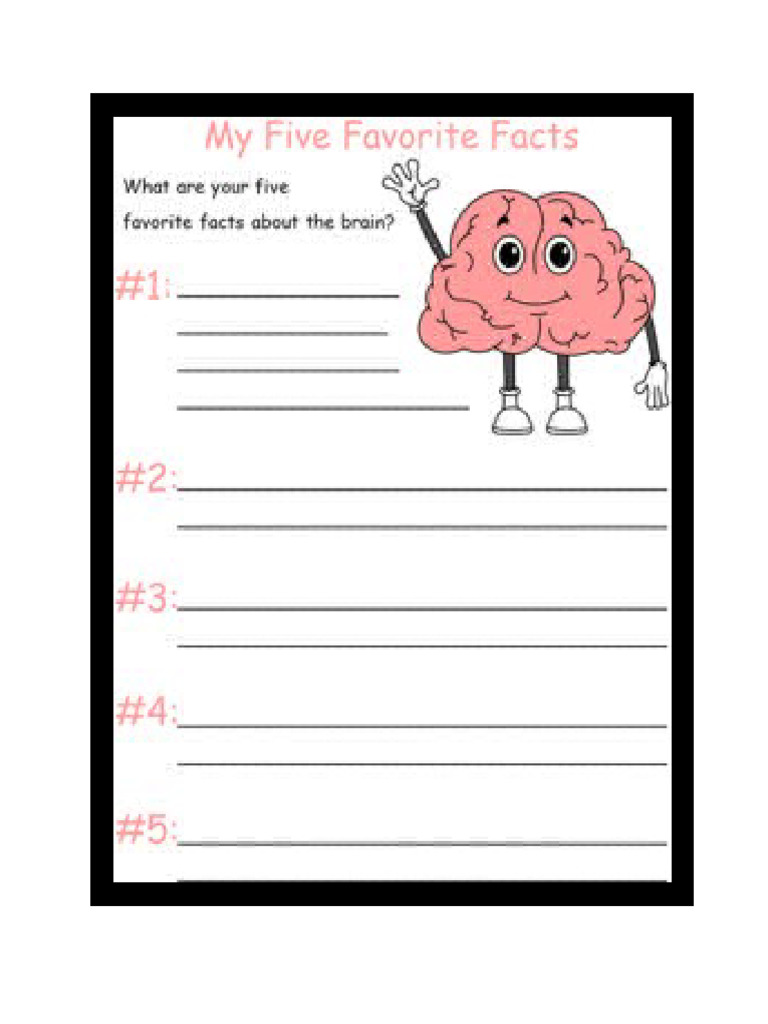 Favorite Facts of Brain | PDF
