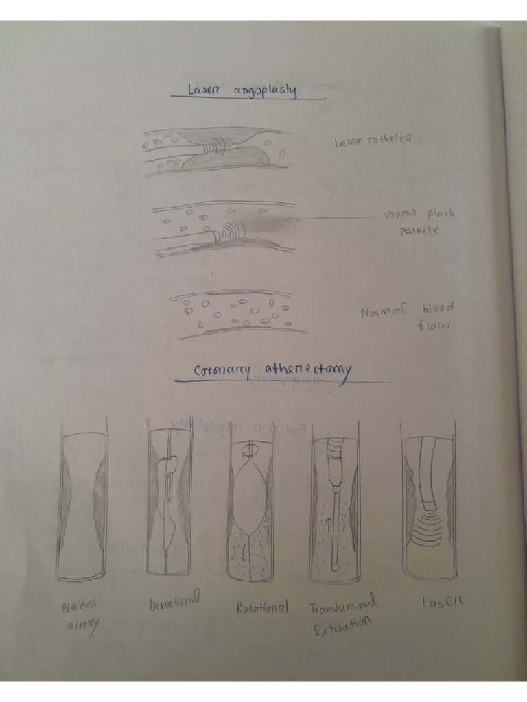 Human Circulation Figures Part 3 | PDF