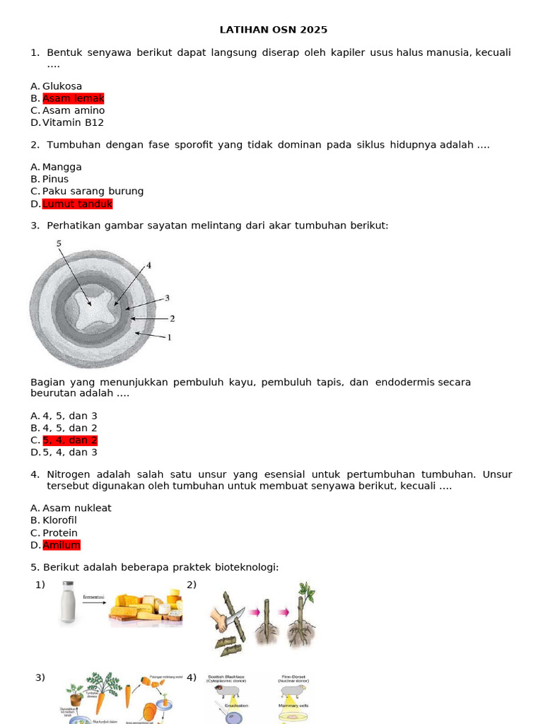 Latihan Osn 2025 Ke 3 | PDF