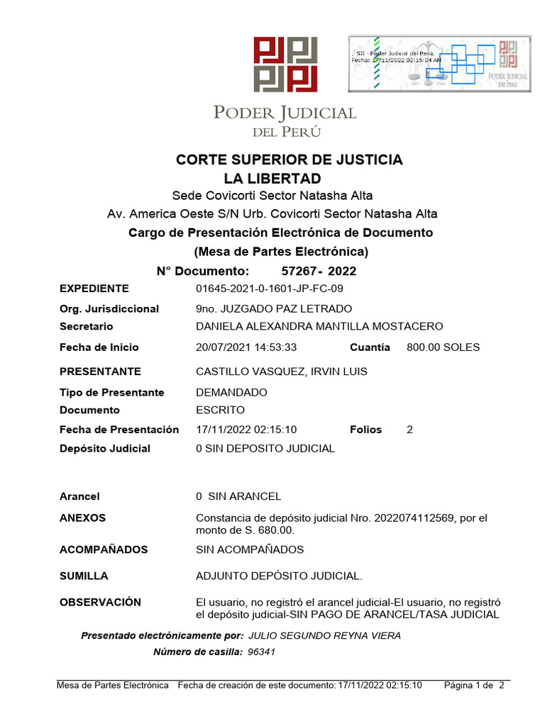 01645-2021-0-1601-JP-FC-09_CARGO (1) | PDF