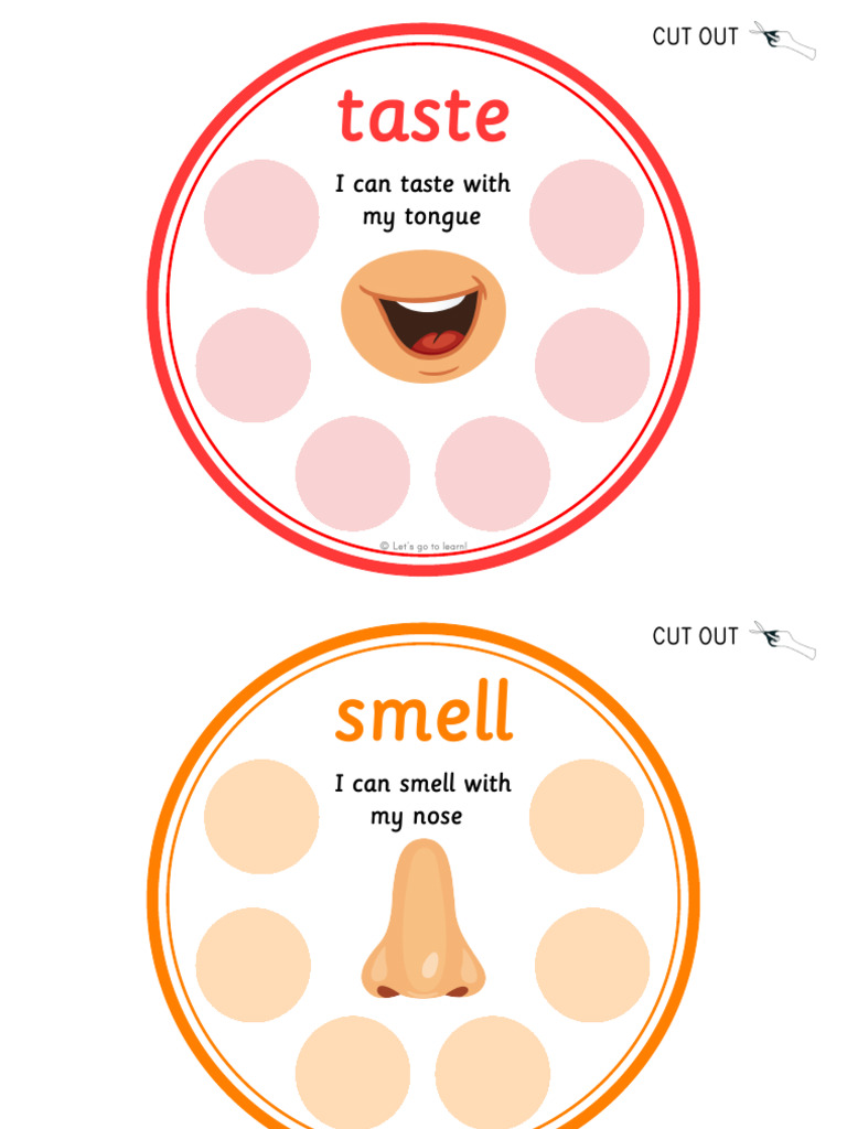 Five Senses Sorting Activity A4 SIZE | PDF
