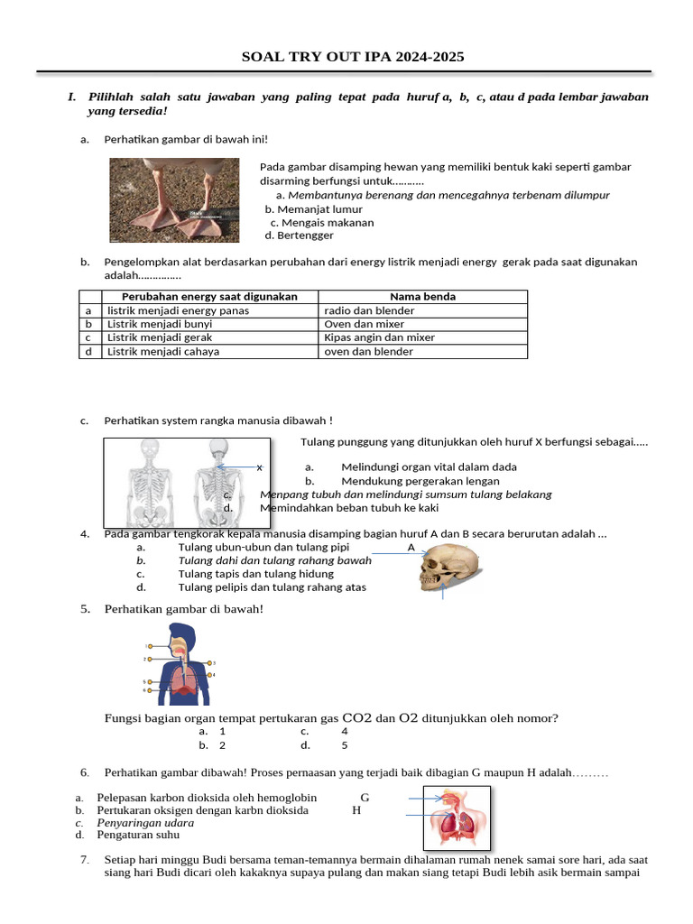 Soal Try Out Ipa 2025 | PDF