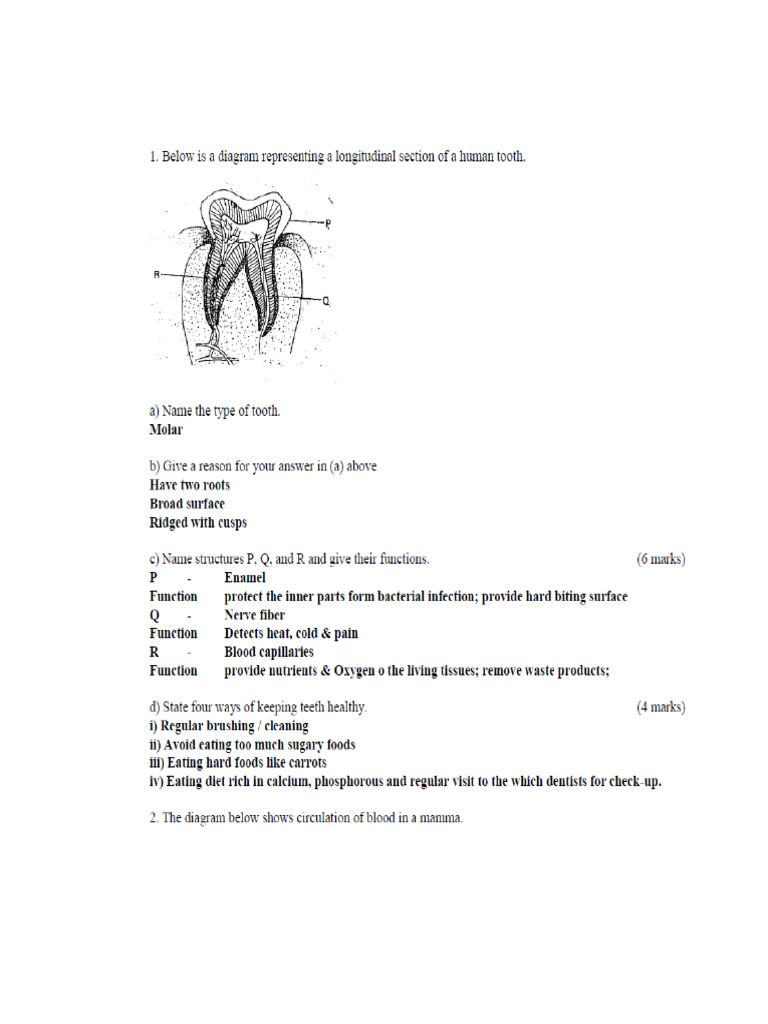 Biology Form 2 Term 2 Marking Scheme | PDF