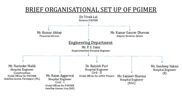 Brief Organisational Set Up of PGIMER | PDF