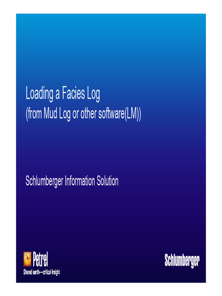 Loading Facies Log | PDF