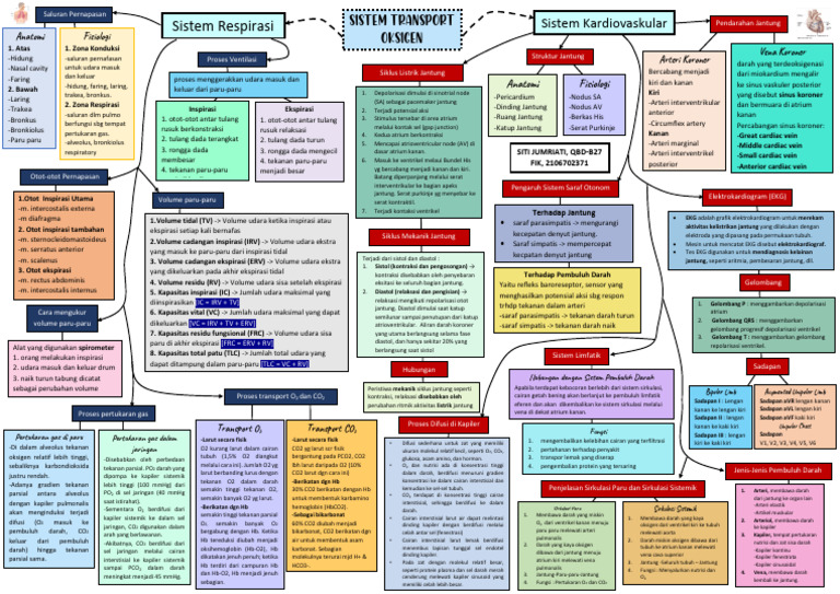 Mind Map_DK2_Sistem Transport Oksigen (Respirasi, Kardiovaskular)_Siti Jumriati | PDF