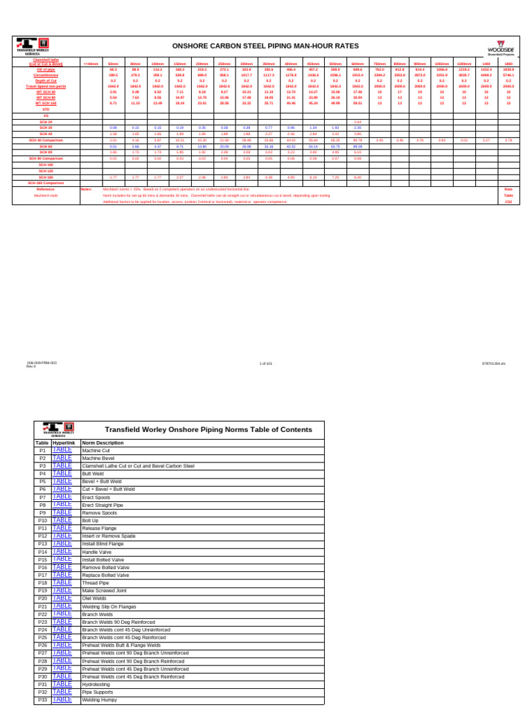 Onshore-Norms APPENDIX-1-PIPING_Rev 5 - Copy | PDF | Mechanical Engineering | Building Materials