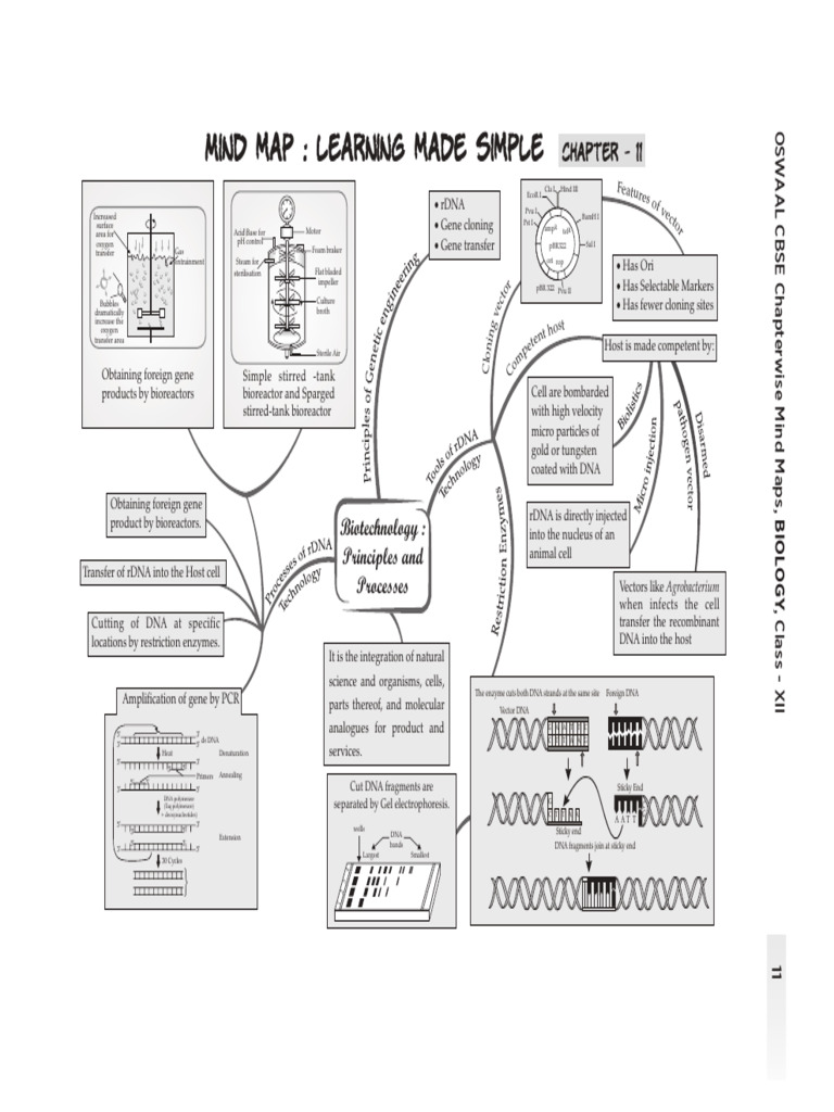 Biotechnology Principles and Processes | PDF | Recombinant Dna | Polymerase Chain Reaction