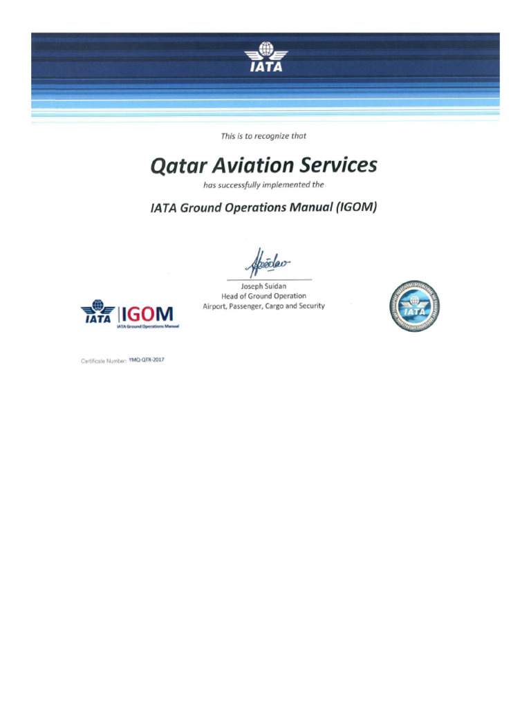 IATA Ground Operations Manual Implementation | PDF