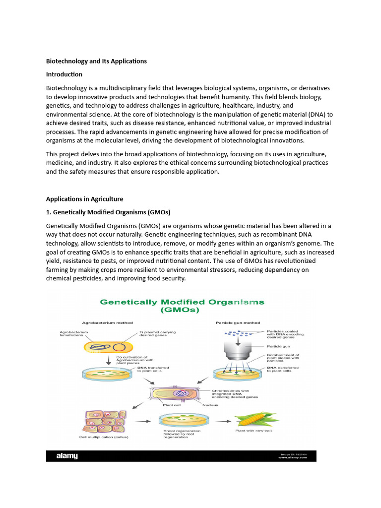 Manasvi Netam 12th C Biotechnology and Its Applications | PDF ...