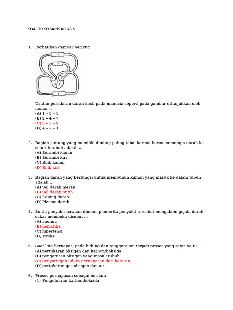 Soal To SD Sains Kelas 5 | PDF