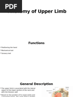 Triangular Space - Borders - Contents - TeachMeAnatomy | PDF