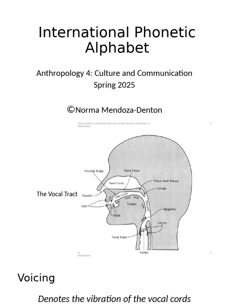 ANTH 4 IPA Presentation Week 2 (Updated) | PDF | Human Voice | Phonetics