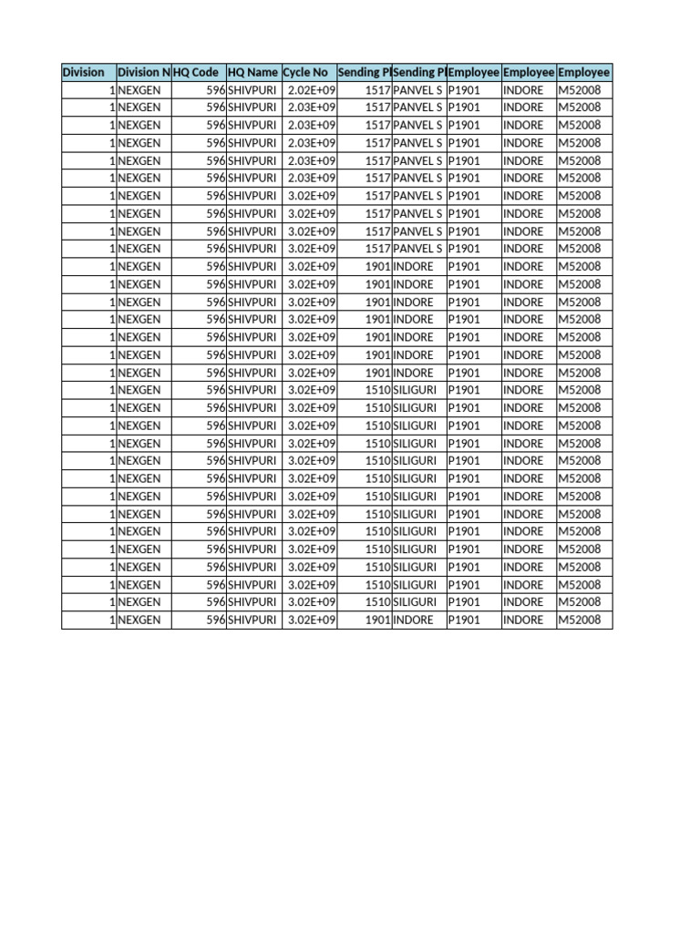 01-NexGen Dispatch Details M52008 13-04-2025 | PDF