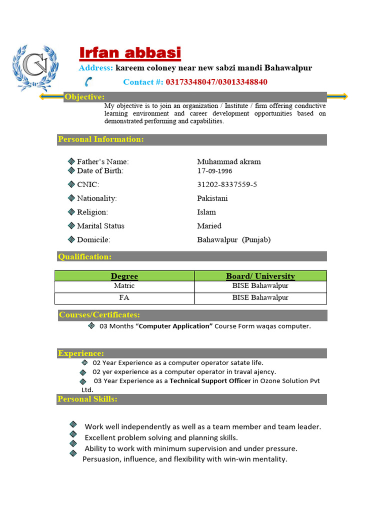 irfan cv | PDF