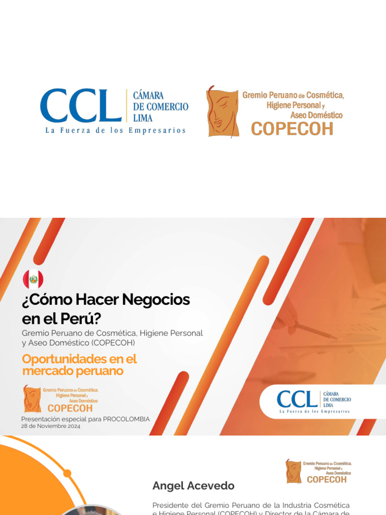 [COPECOH] COMO HACER NEGOCIOS EN EL PERU 2024-comprimido | PDF ...