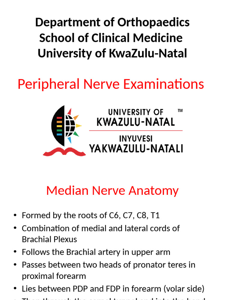20 MBCHB Peripheral Nerves Examination | PDF | Thumb | Anatomical Terms ...