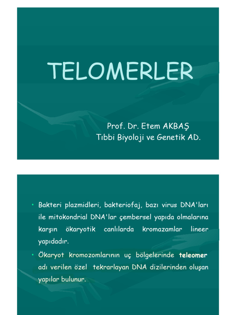 Telomer Slayt PDF | PDF