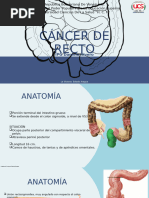Anatomia de Mesorecto | PDF | Cáncer colonrectal | Cirugía