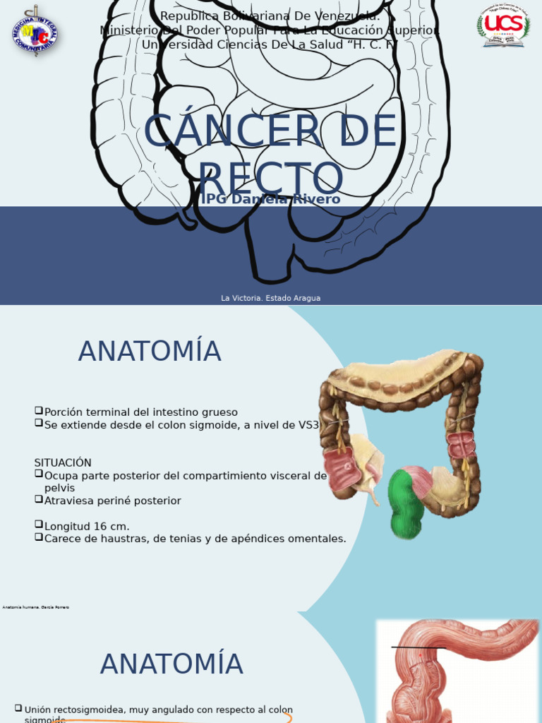 CA.Recto.DR | PDF | Cáncer colonrectal | Recto