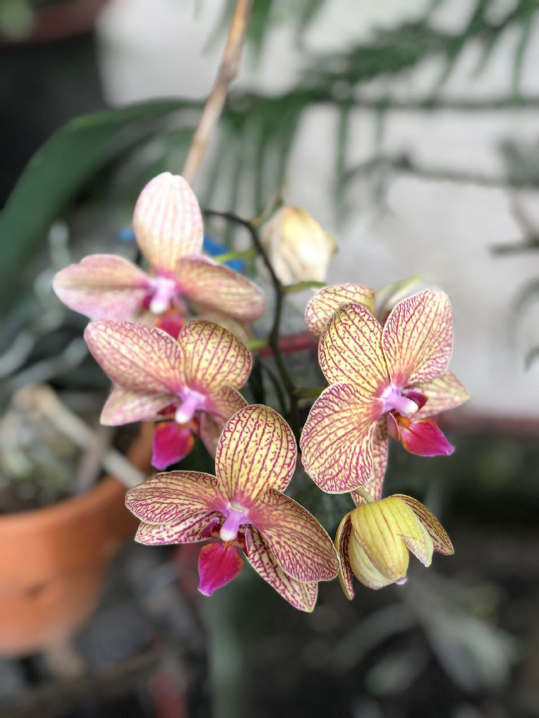 Dipindai 20250414-1553 | PDF