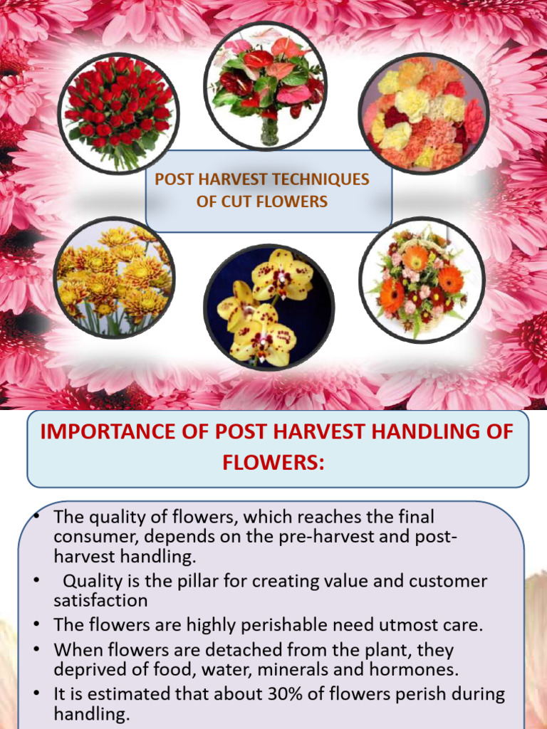 Harvesting and Postharvest Techniques of Flowers Practical | PDF ...