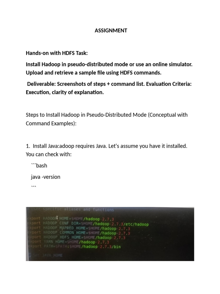 ASSIGNMENT_TANUPRIYA_BDDV | PDF | Apache Hadoop | Computing